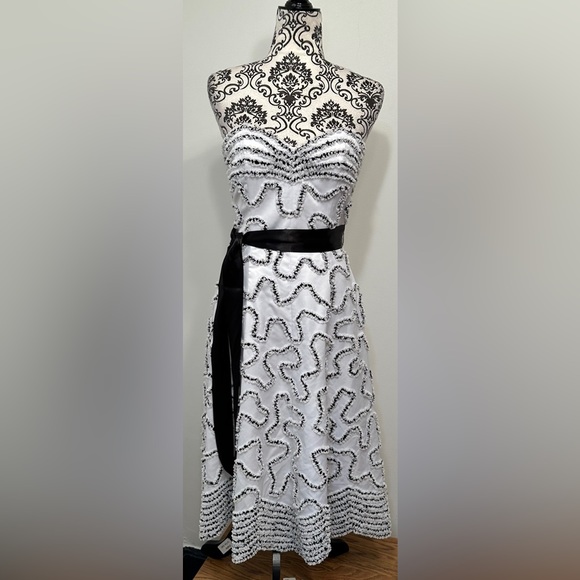 Basix Ii | Dresses | Basix Ii White Black Corset Lace Embroidered Lined ...